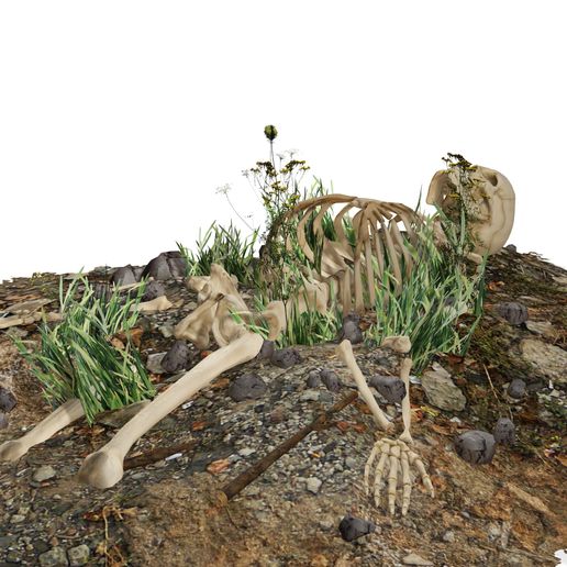 💀 Human Skeleton FOSSIL ANATOMY IN MUD 3D Model・ OBJ File for 3D ...