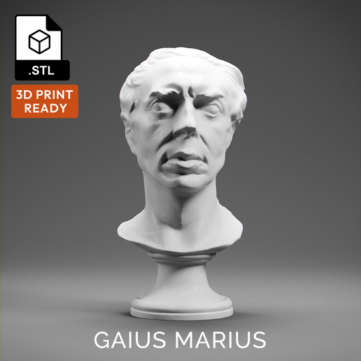 STL file Gaius Marius Bust 👤 ・3D printer design to download・Cults