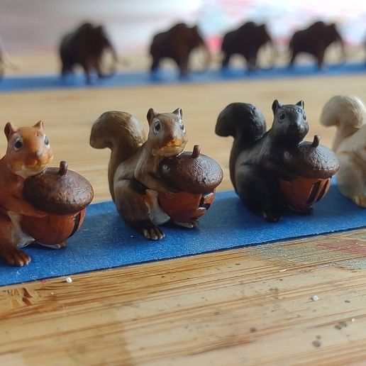 🐿️ Squirrel Token Counters・Free 3D File for ・Cults