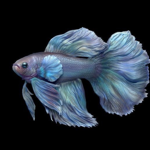🐠 Betta Fish Model 3D・ STL File for 3D printing・Cults