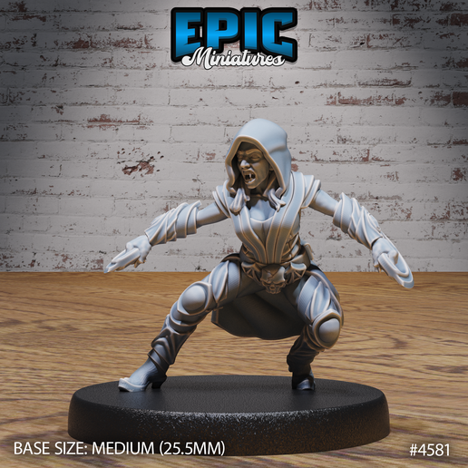 🧛 Vampire Army Assassin ‧ DnD Miniature ‧ Tabletop Miniatures ‧ Gaming ...