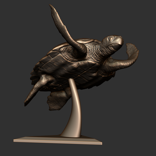 🐢 Turtle・ STL File for ・Cults