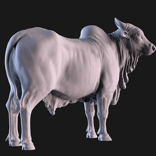 🐂 Bulls Pack・ STL File for 3D printing・Cults
