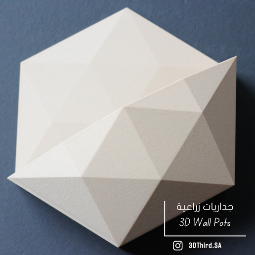 🪴 Hex Wall Pot Panels・ STL File for ・Cults