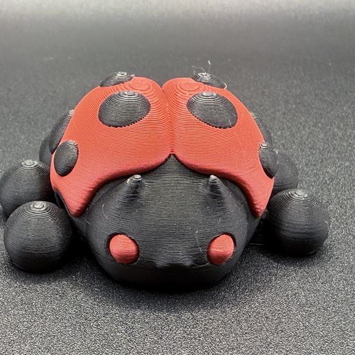 3D printer Ladybug Flexi • made with Bambu A1 Mini・Cults