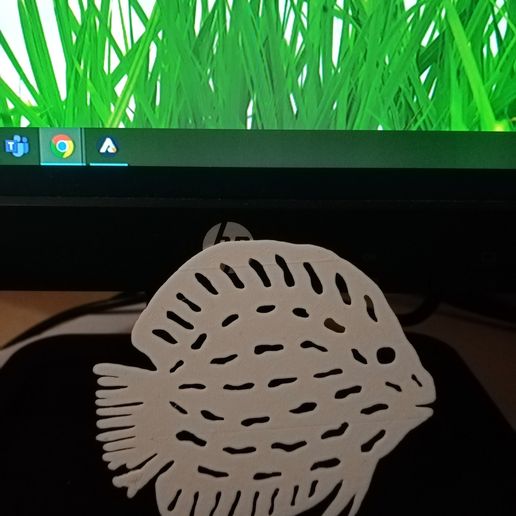 STL file Discus fish 🐠 ・3D printer design to download・Cults