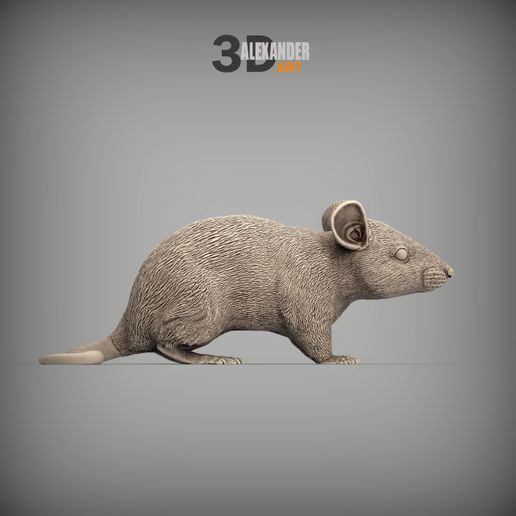 STL file Mouse 3D print model 🐁 (OBJ)・3D print design to download・Cults