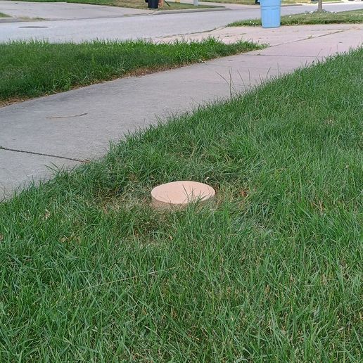 🌳 Front Yard Tree Stump cap hole・ STL File for 3D printing・Cults