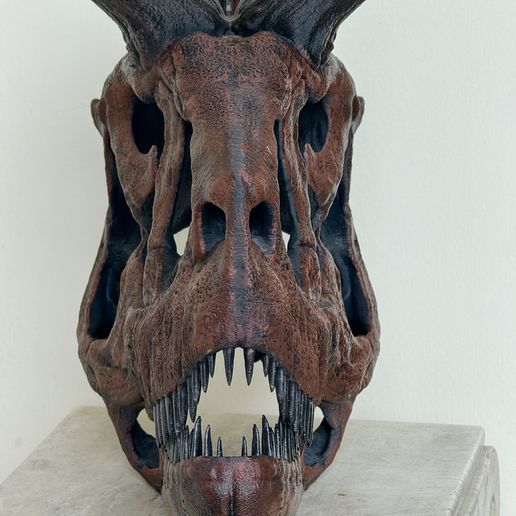 3D print Carnotaurus sastrei skull reconstruction • made with Creality ...
