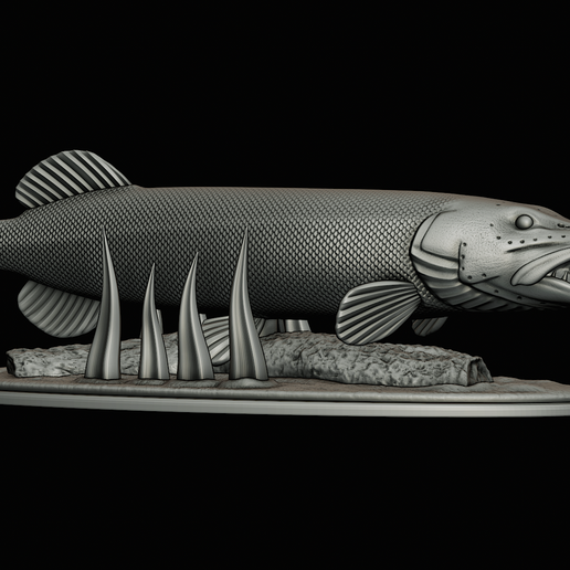 🐠 fish NORTHERN PIKE (ESOX LUCIUS) in motion 2 natural base detailed ...