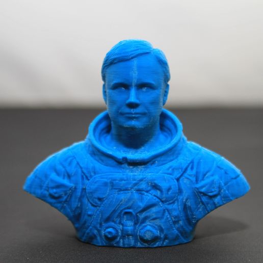 3D print Astronaut Bust • made with Colido 2.0・Cults