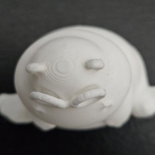 🦛 Nice Hippo・ 3D File for 3D printing・Cults
