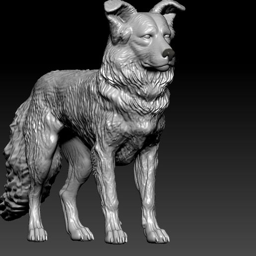 🐱 The Australian Shepherd - Australian Berger model - 3D print・ 3D File ...