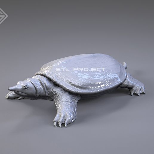 🐢 Soft Shelled Turtle・Free STL File for 3D printing・Cults