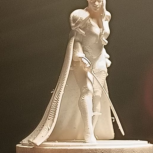 STL file Ireen Kolyanovic from Curse of Strahd 🦸 (OBJ)・3D printer model ...