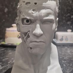 3D print TERMINATOR ( Bust ) - STL Files for 3D Printing • made with ...