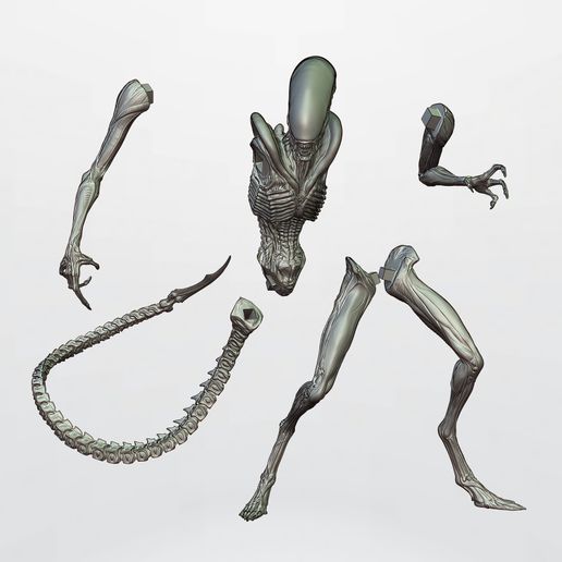 👽 ALIEN・ STL File for 3D printing・Cults