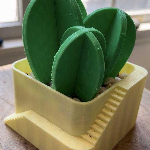 STL file Cactus [2 versions] 🌵 ・3D printing design to download・Cults