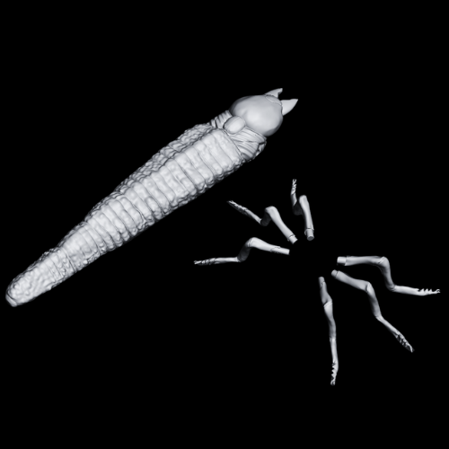 👽 Alien Earth Blood Leech・ 3D File for 3D printing・Cults