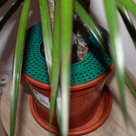 🌿 plant protection for cats・Free STL File for ・Cults