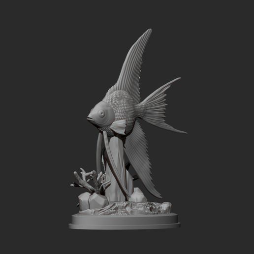 🗿 Angelfish 3D print model・ 3D File for 3D printing・Cults