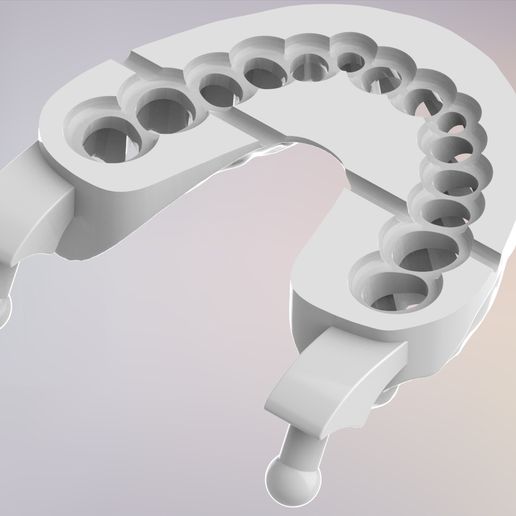🦷 3D Dental Jaws Replica with Detachable Teeth・ STL File for ・Cults