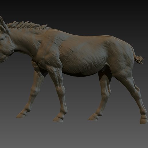 STL file Donkey 3d print 🐎 (OBJ)・3D printable model to download・Cults