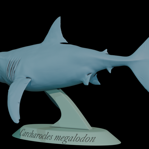 🦈 Megalodon 3D print model・ STL File for 3D printing・Cults