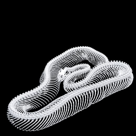 python skeleton project