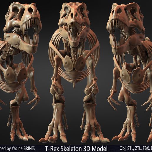 🦖 T-Rex Skeleton 3D Model・ 3D File for 3D printing・Cults