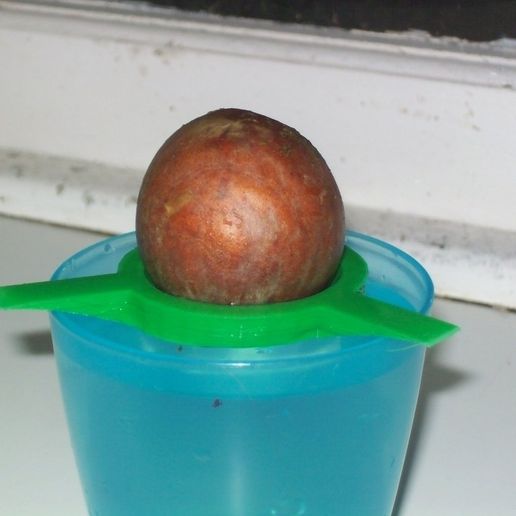 Fichier STL gratuit Saupoudreuse d'avocat・Modèle à télécharger et à ...