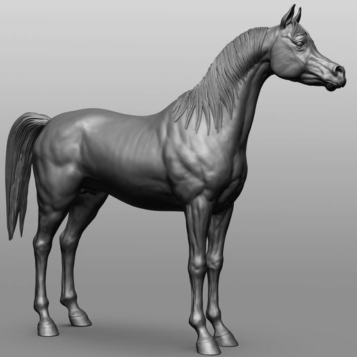 🐎 Horse Breeds Collection・ 3D File for ・Cults
