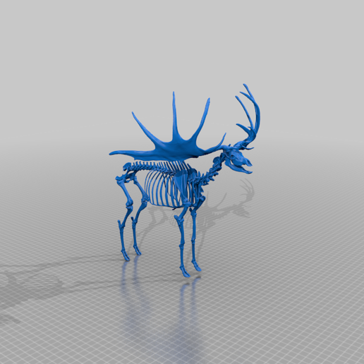 deer skeleton 3d