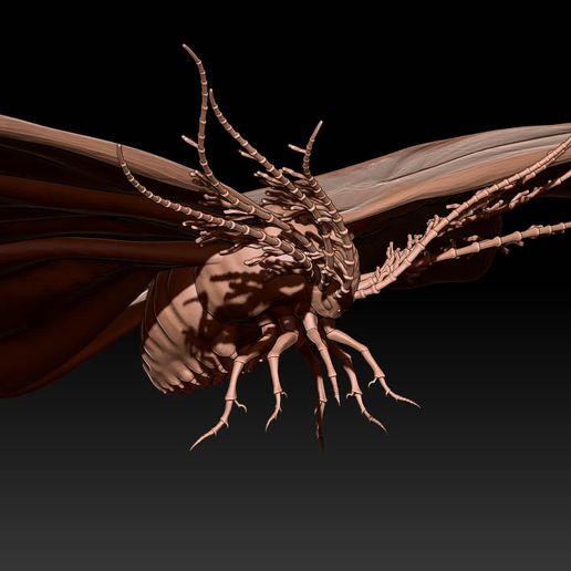 💍 Gnoster, Wisdom of Night - Elden Ring Nightreign・ STL File for 3D ...