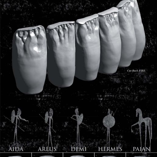 👑 Zirkonzahn - HEROES COLLECTION Teeth Libraries - EXOCAD・ 3D File for ...