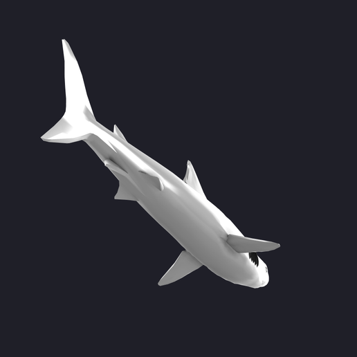 🦈 Shark 3D MODEL・ 3D File for 3D printing・Cults