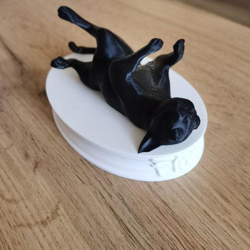 🎬 "Flow" Movie Cat Statue (Oscar 2025 Winner Edition) - second model ...