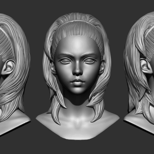 ♀️ 45 Female hair collection ZTL OBJ STL・ 3D File for 3D printing・Cults