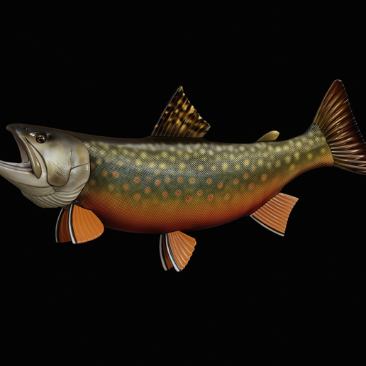 👄 brook trout / Salvelinus fontin real size 2 open mouth in motion fish ...