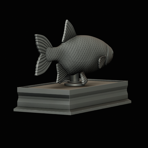 🐠 fish common rudd / Scardinius erythrophthalmus with storage space ...