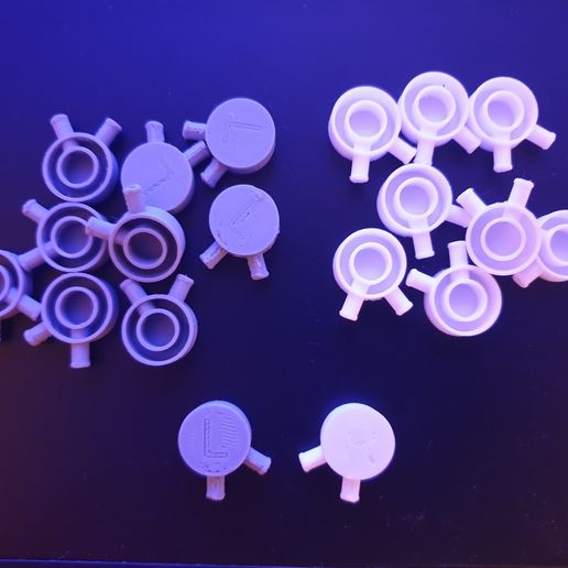 STL file Lashley-Yushchenko-Krasnogorsky capsule (cannula for ...