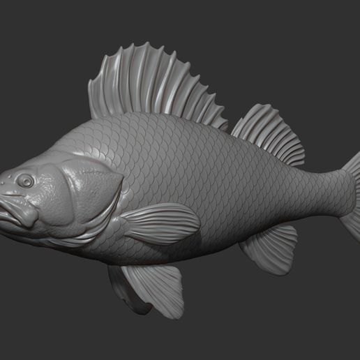 🐠 Perch fish on the base・ STL File for 3D printing and CNC machining ...