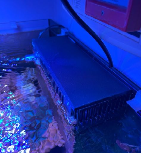 🐾 reefer 170 overflow cover・Free STL File for 3D printing・Cults