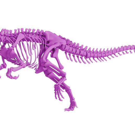 💀 Allosaurus: Complete skeleton・ STL File for 3D printing and CNC ...