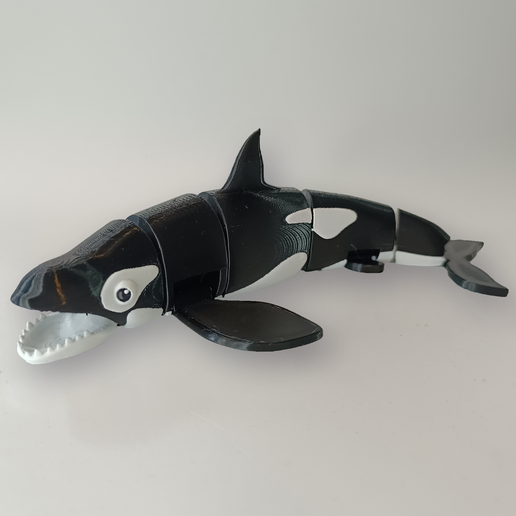 🐳 ARTICULATED ORCA・Free STL File for 3D printing・Cults