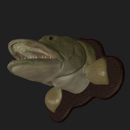 🏆 pike head detailed texture trophy taxidermy for 3d printing・Free STL ...