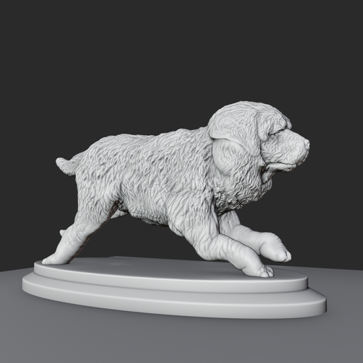 STL file tibetan mastiff running stl 🏃 ・3D printing model to download・Cults