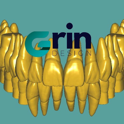 STL file GRIN DESIGN 2023 Exocad Tooth library 🦷 ・3D printing template ...