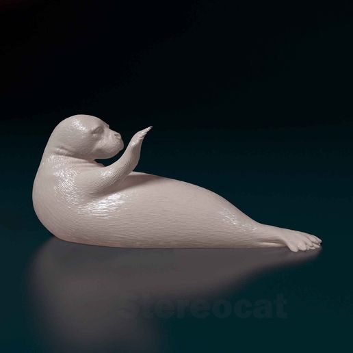 🦭 Seal・ STL File for 3D printing・Cults