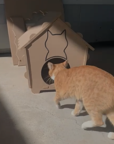 🐱 CAT HOUSE・ GCODE File for 3D printing and CNC machining - Laser ...